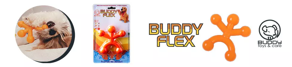 Blog - Brinquedo Boneco Buddy Flex