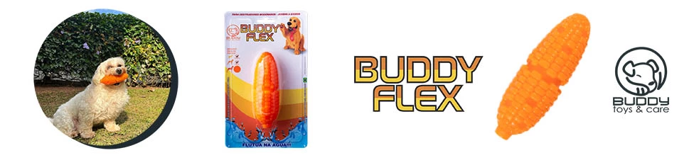 Blog - Brinquedo Milho Buddy Flex
